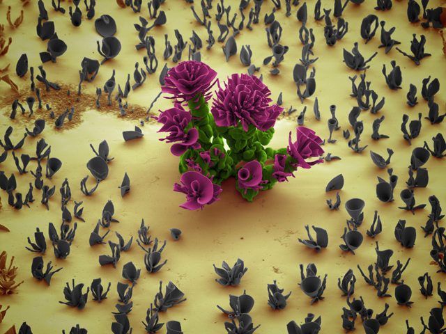 Sculpting the Tiniest Flowers in the World to Build the Future of ...
