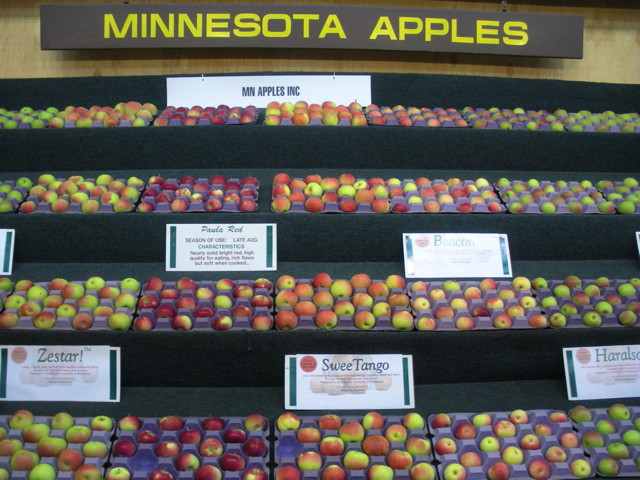 The Minnesota State Fair in Pictures