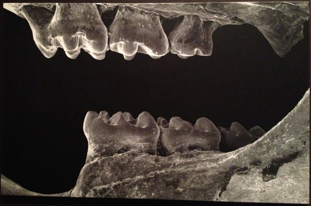 Wasted Wonder: Picturing Science, but Not Explaining It