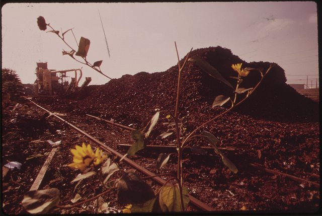 Photographing the State of the Environment in the 1970s