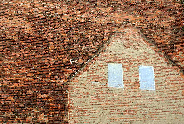 Ghost Buildings and the Inadvertent Beauty of Destruction