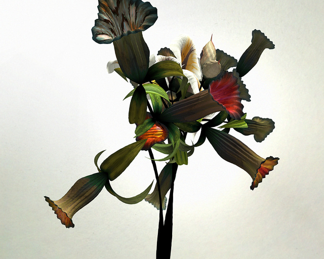 Flowers Grown from the Topography of a Museum