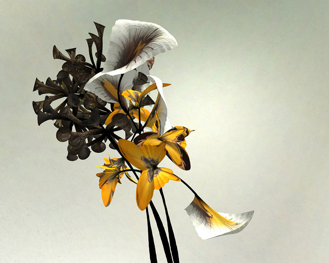 Flowers Grown from the Topography of a Museum