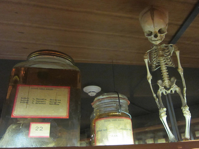 Humanizing a Historic Brain Collection