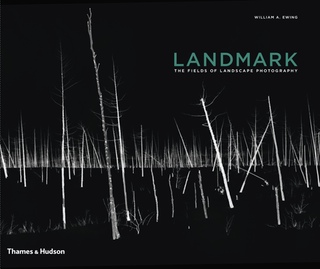 Photographing a 21st-Century Landscape When the Land Itself Is Disappearing