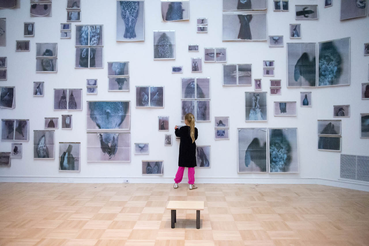 Ann Hamilton's Distorted Scans of Natural History