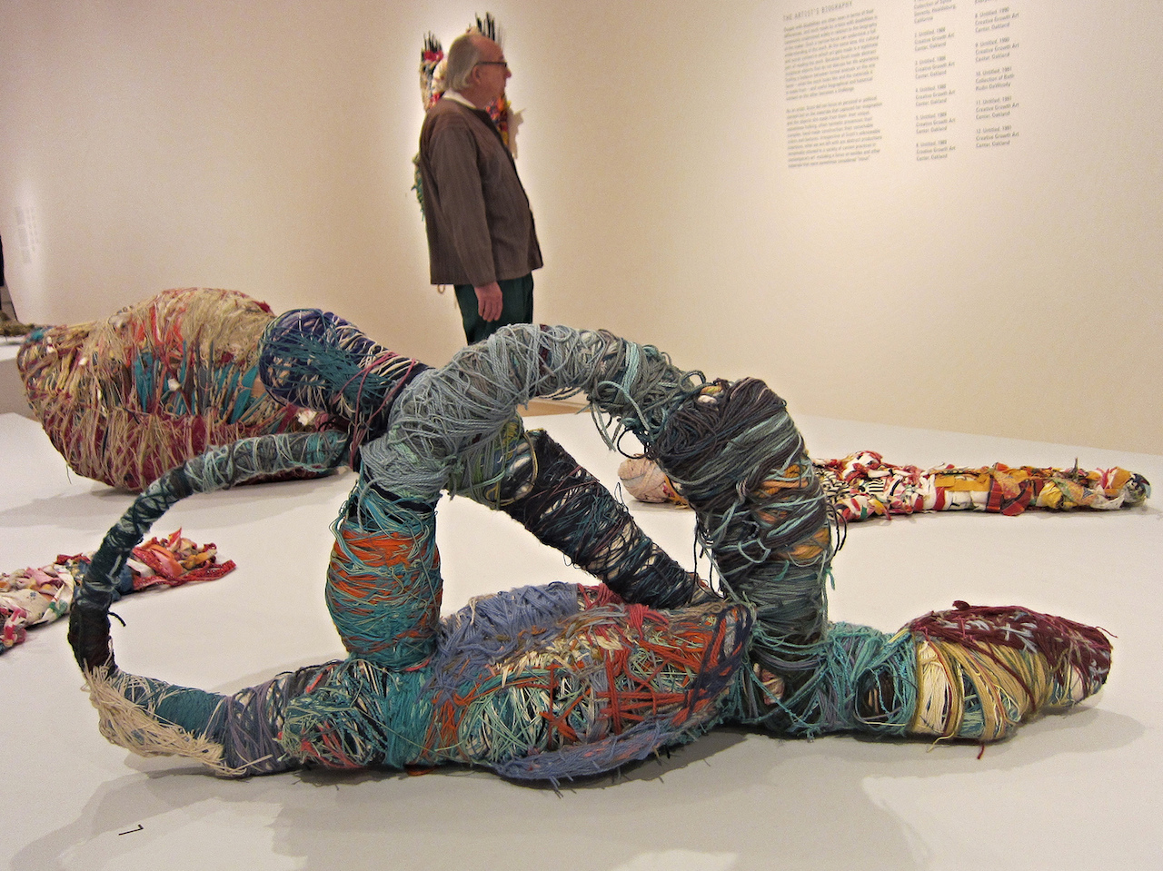 Words Fall Away: 'Judith Scott — Bound and Unbound'