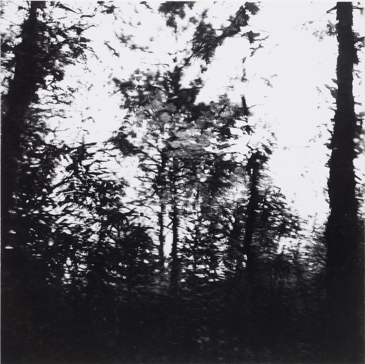 The Suburban Dad Who Took the 1960s' Eeriest Photos