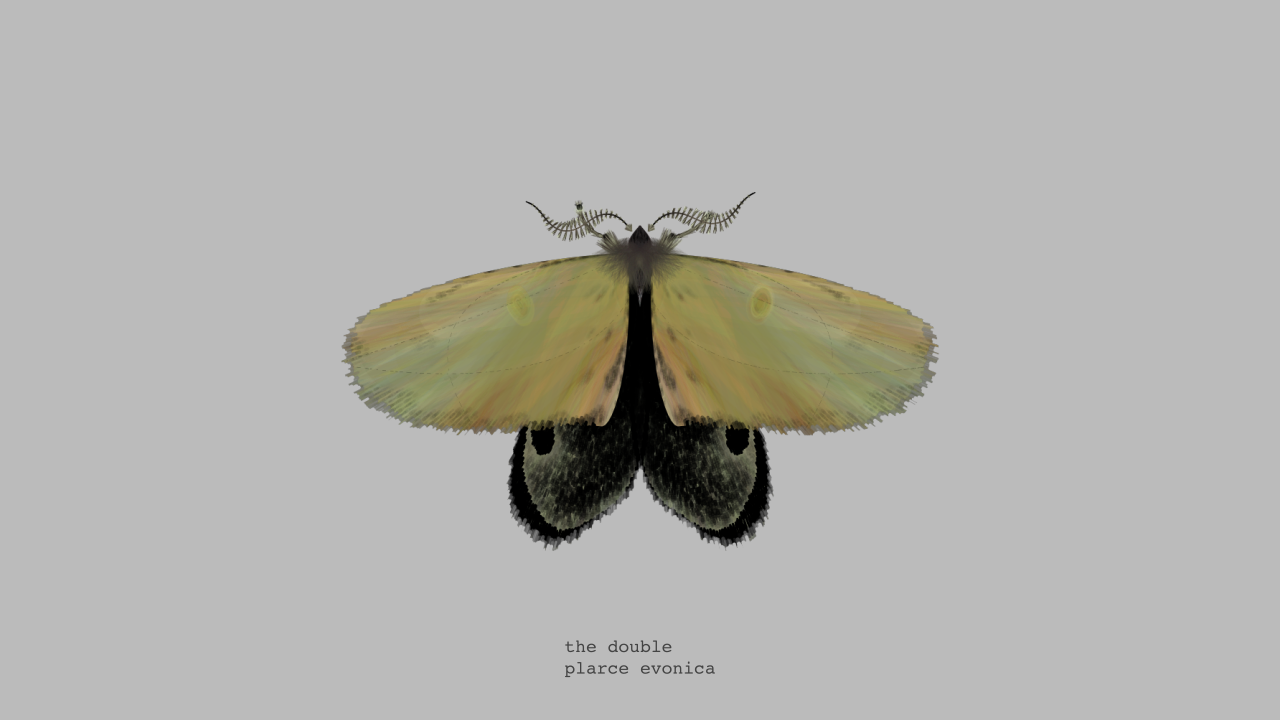 A Twitter Bot That Generates Beautiful, Imaginary Moths