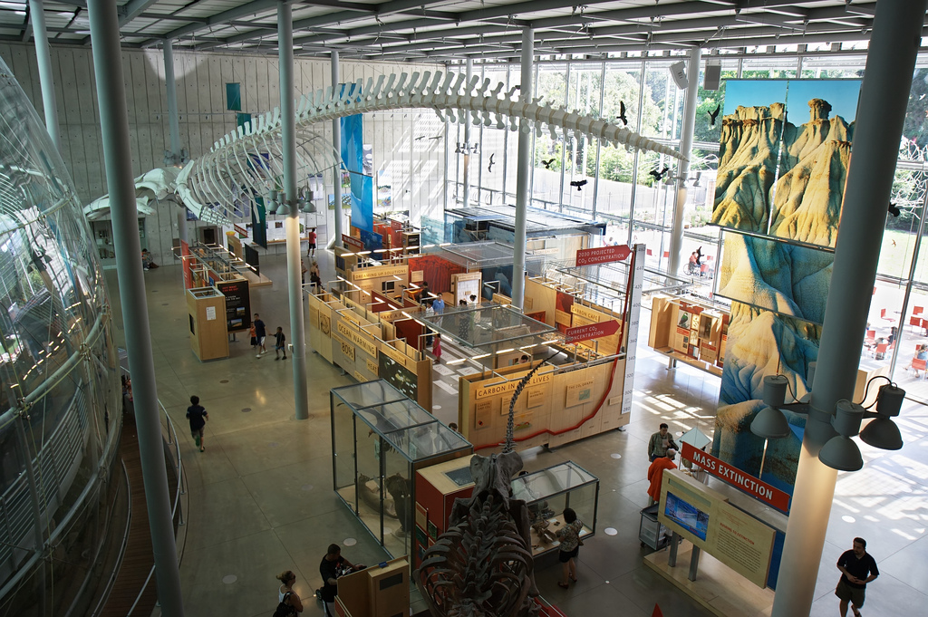 California Academy of Sciences Will Divest from Fossil Fuels