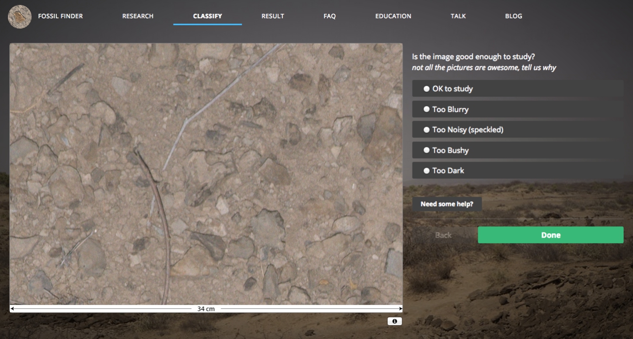 A Digital Fossil Finder for a New Crowdsourced Age of Archaeology
