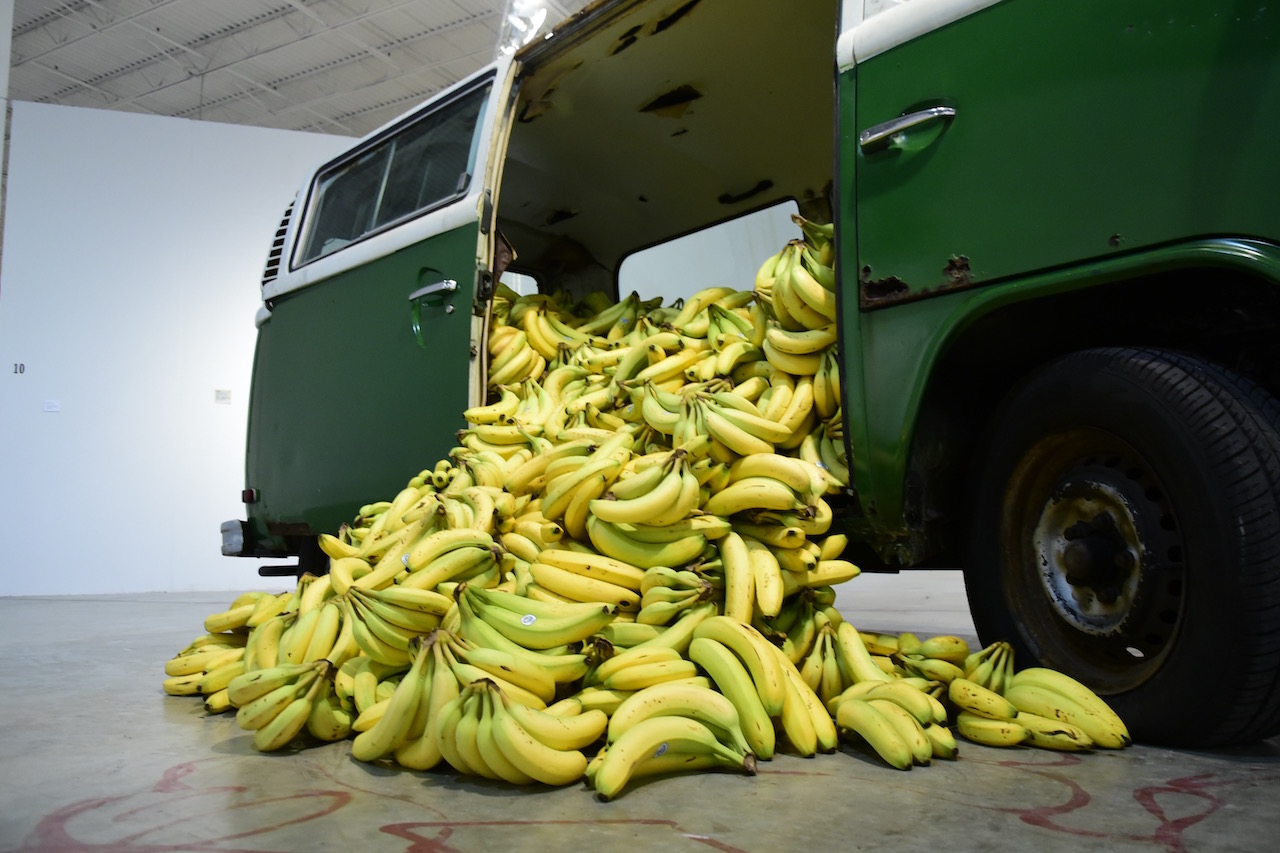 Spilled Bananas, Split Blades, and Books with Bullets: Eclectic ...