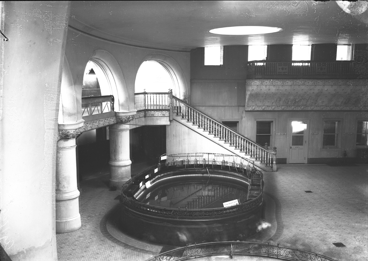 From an Extinct Lion to an Alligator Mid-Meal, Preserving Moments from ...