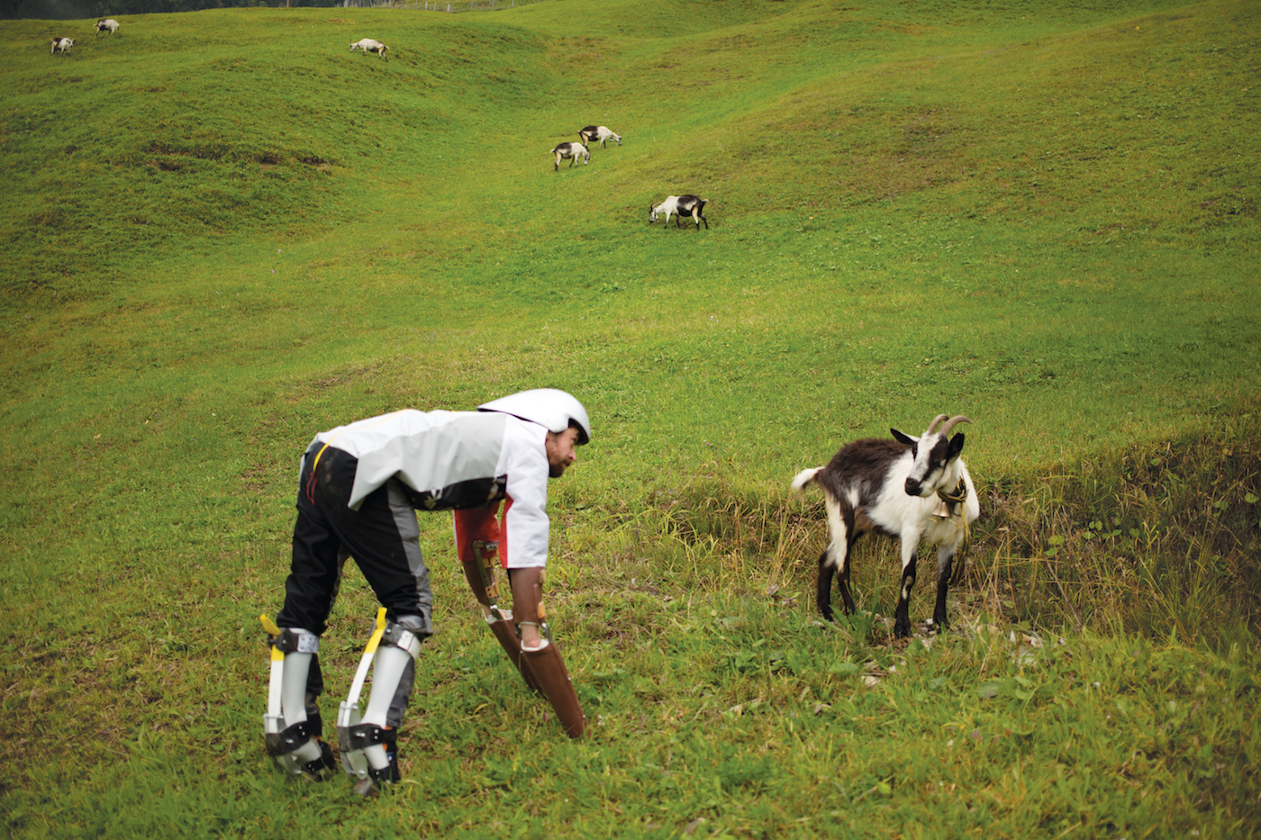 Sick of Being Human, a Designer Transformed Himself into a Goat