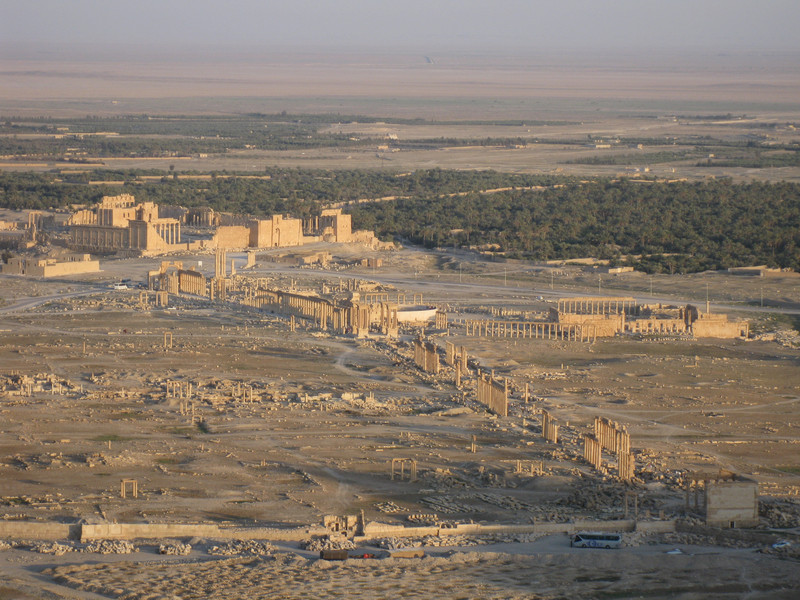 Excavating the Forgotten History of Palmyra