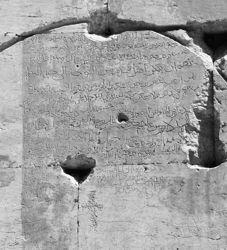 Excavating the Forgotten History of Palmyra