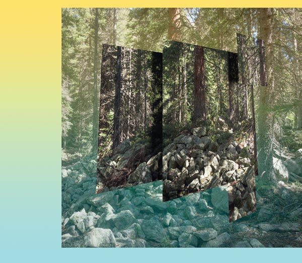 Seeing Digitally Manipulated Landscapes Out in the “Wild"