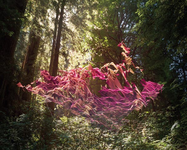 Seeing Digitally Manipulated Landscapes Out in the “Wild"