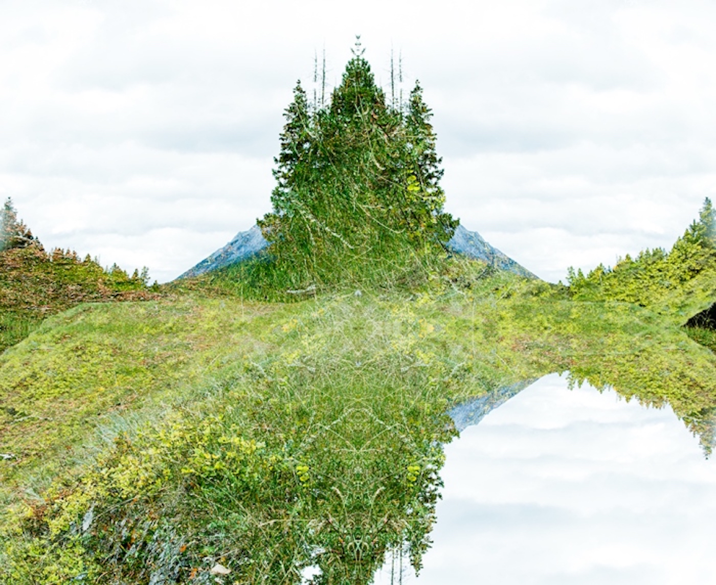 Apply for Creative Residencies in Visual and Digital Arts at the Banff ...