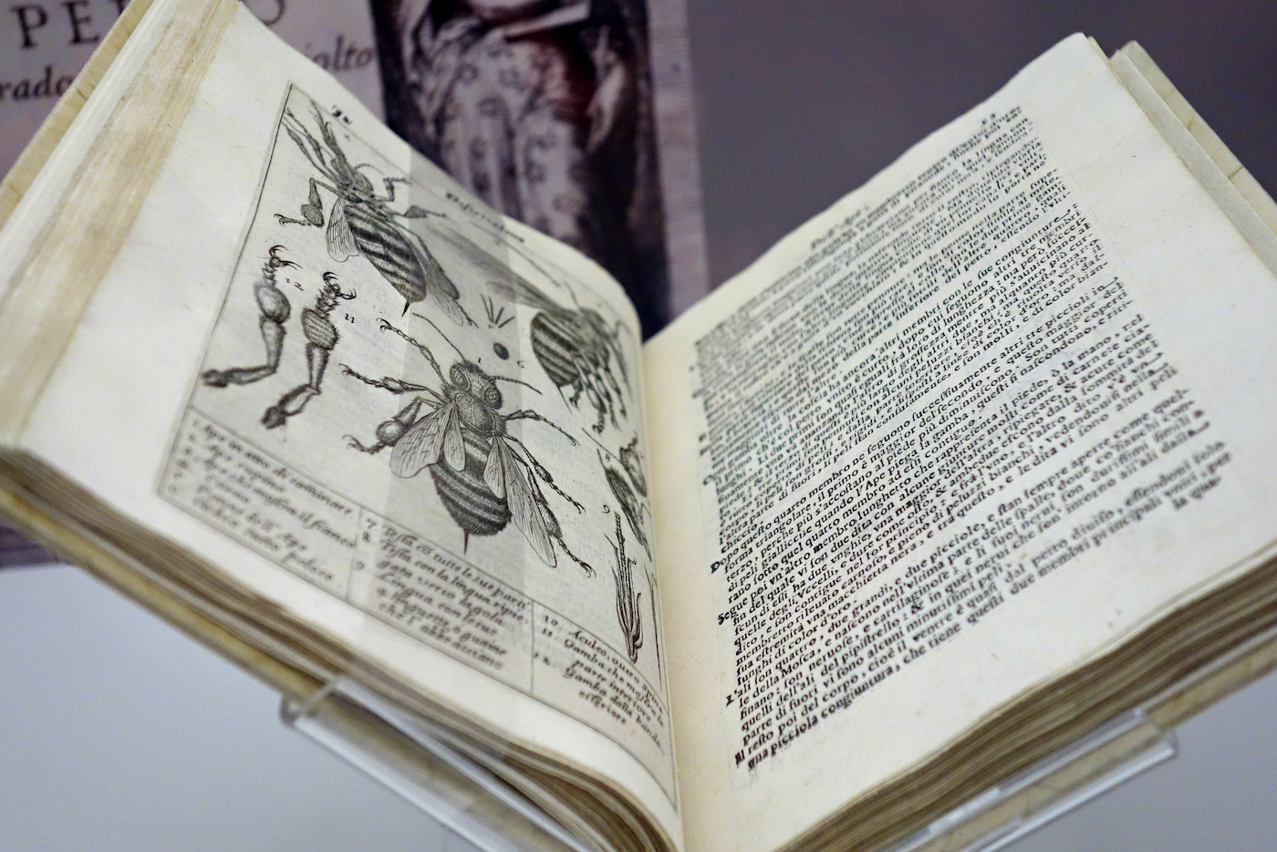 Glimpsing the Evolution of Glass Lenses in Three Centuries of Microscopes