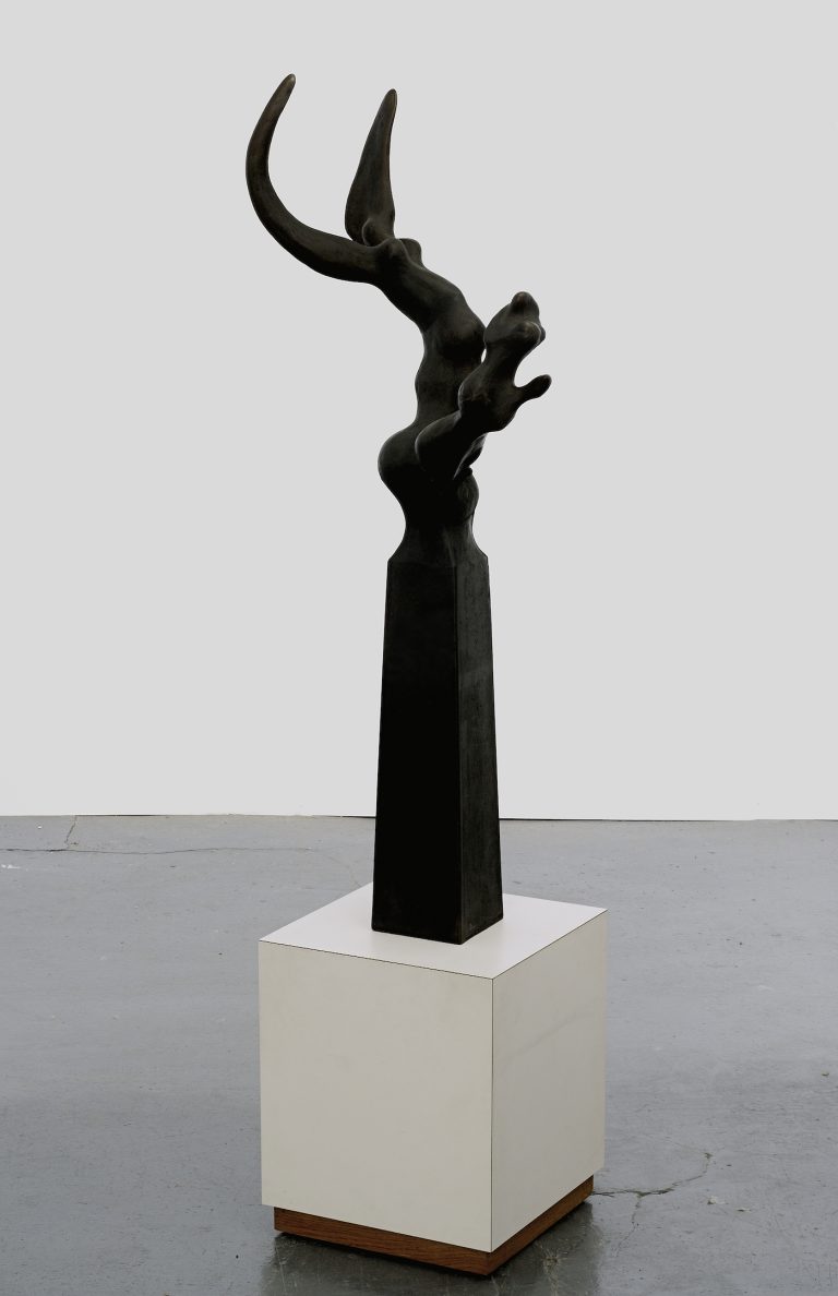 Is It Possible to See What Is There?