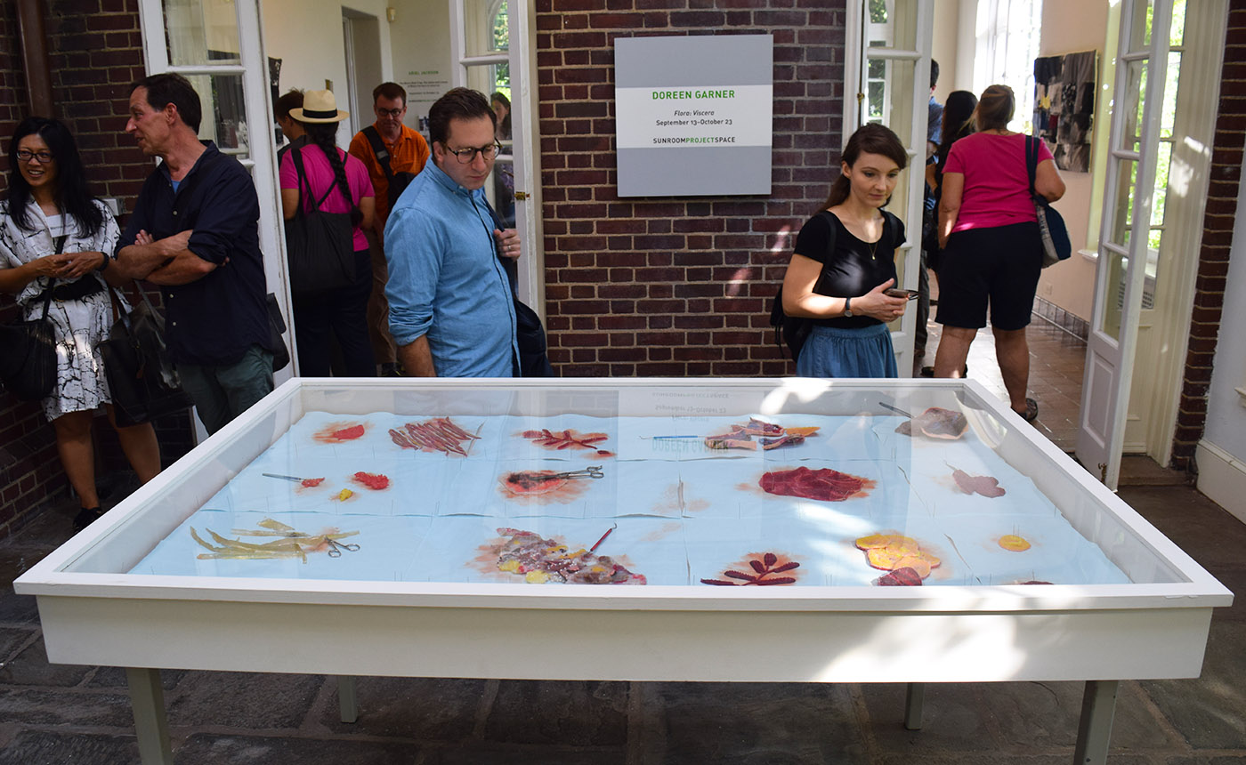 The Pain and Privilege of Dissecting Bodies