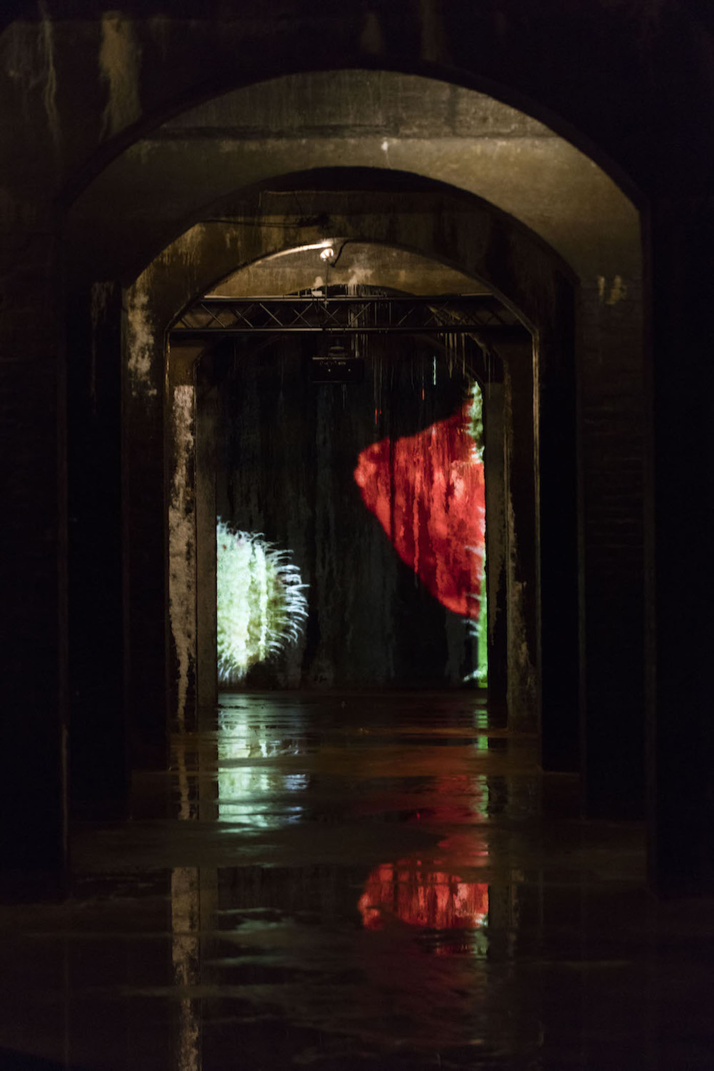 Ghostly Flowers and Haunting Laughter Light Up a 19th-Century Reservoir