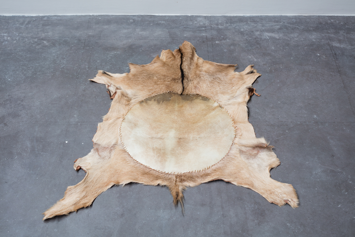 Hybrid Objects for a Binary World