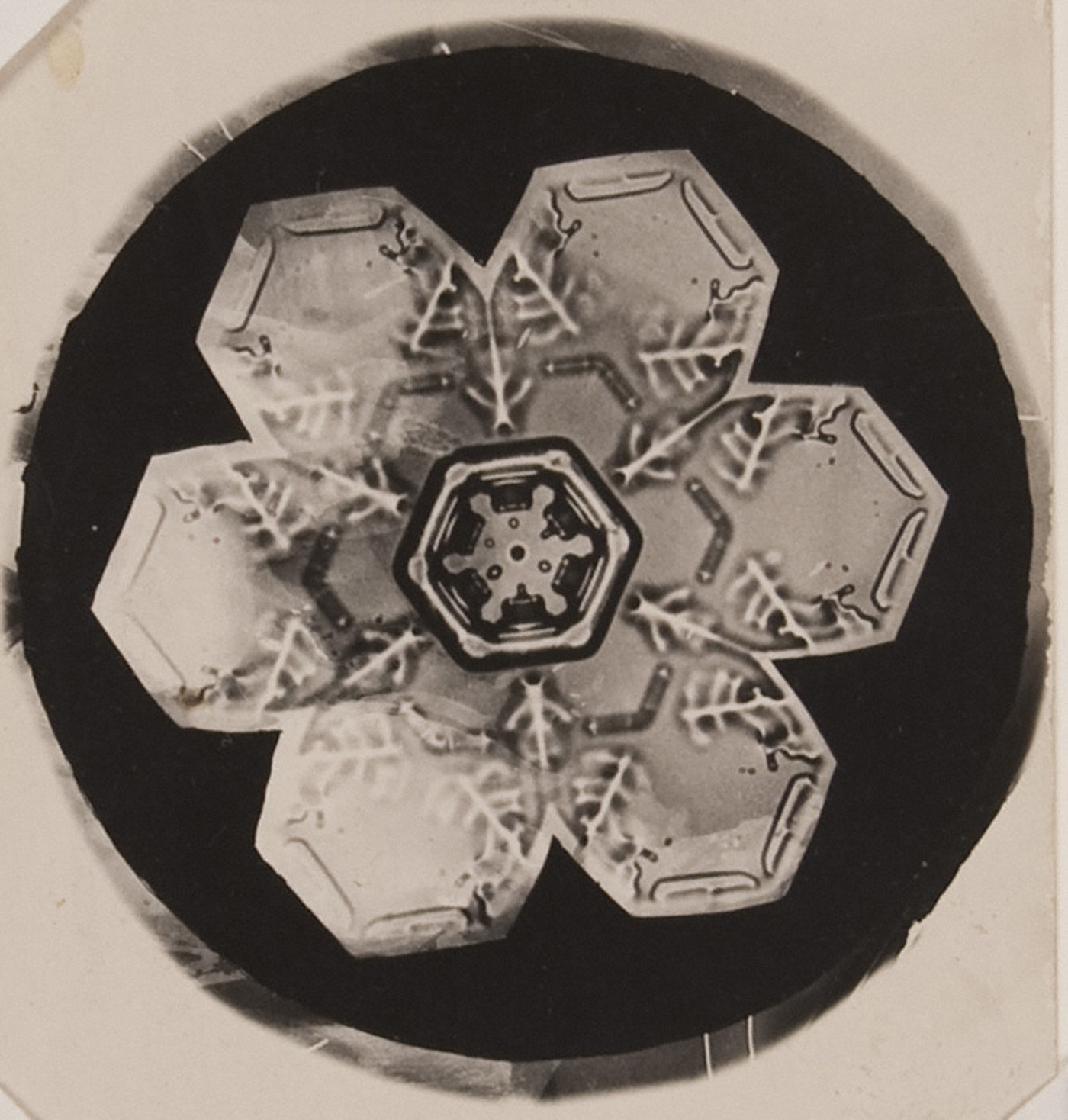 The First Snowflake Photographs