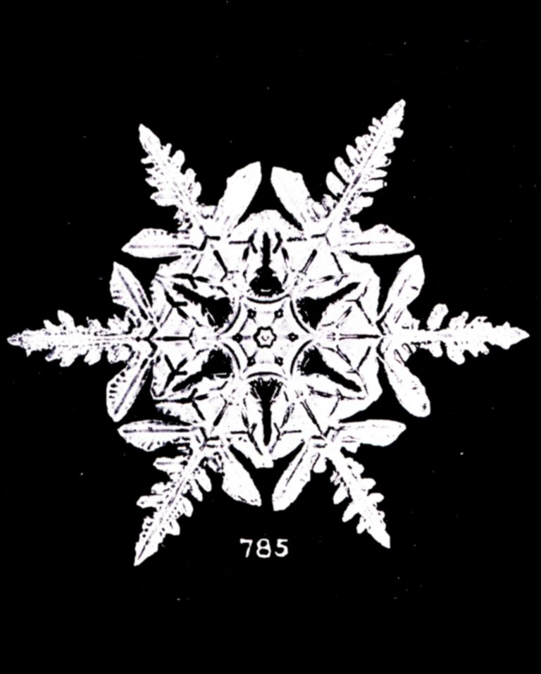The First Snowflake Photographs