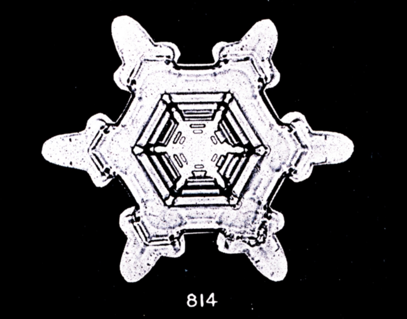 The First Snowflake Photographs