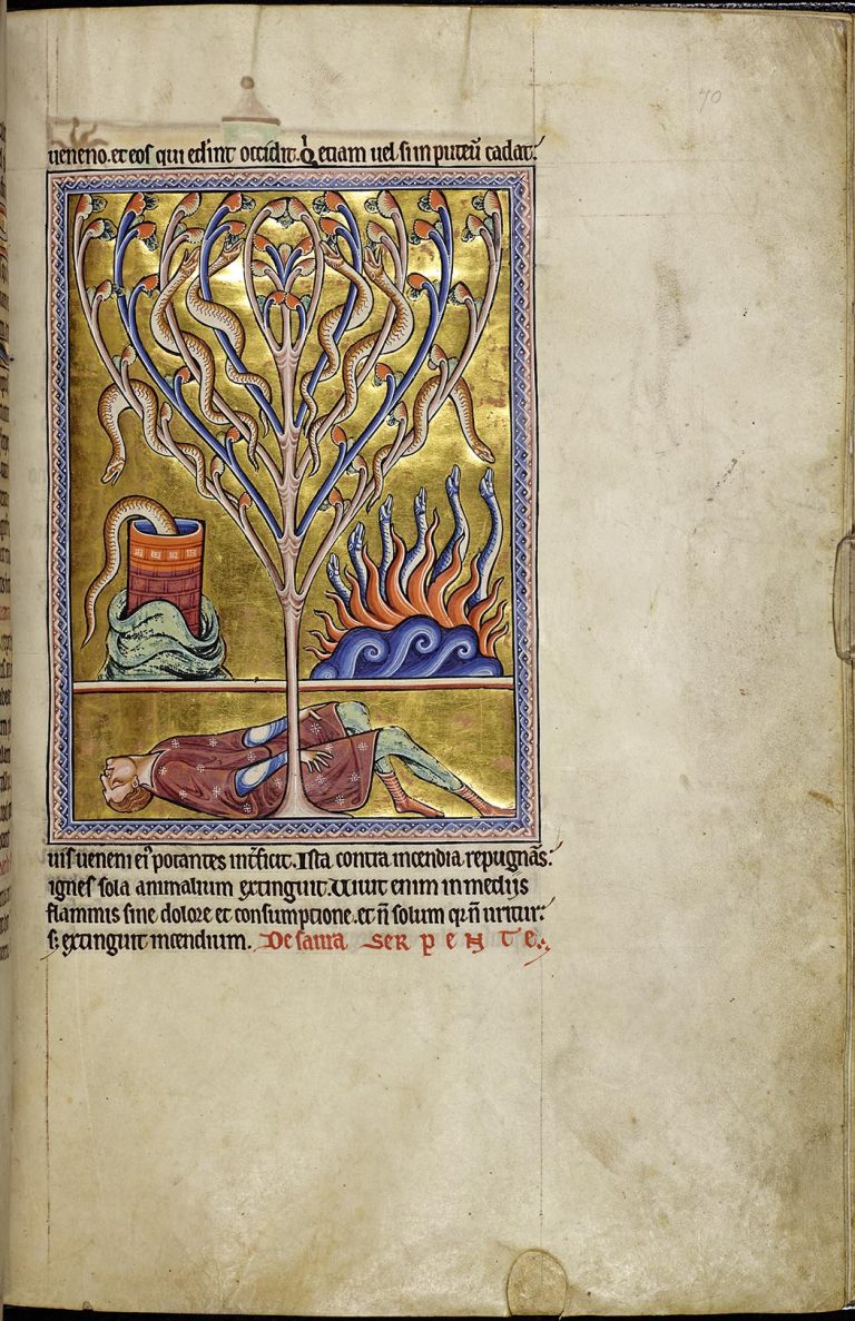 A Lavishly Illuminated Medieval Bestiary Goes Online