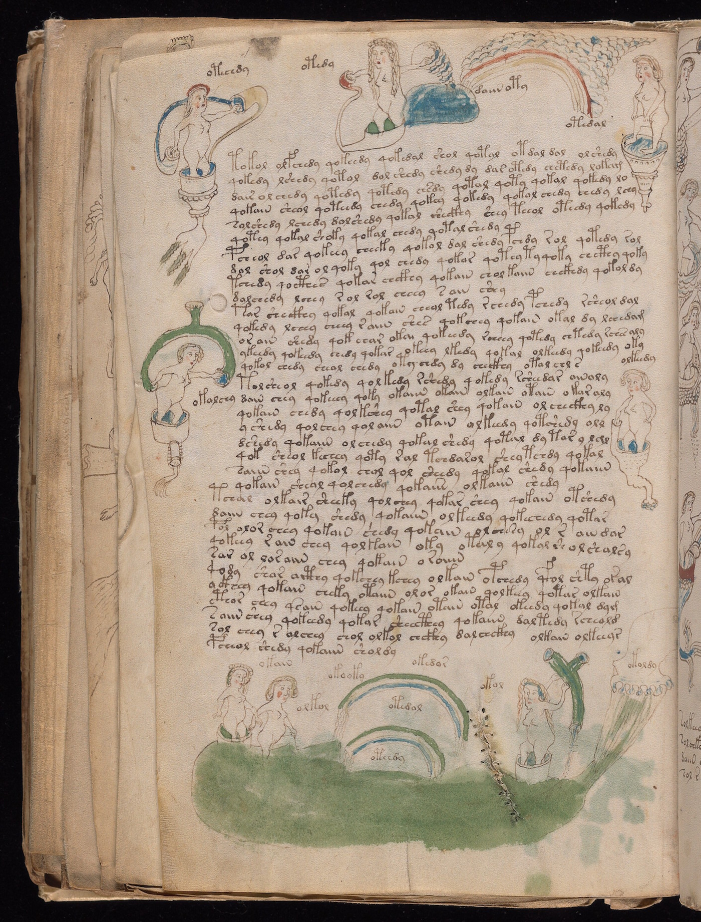 Yale Publishes the First Photo Facsimile of the Voynich Manuscript
