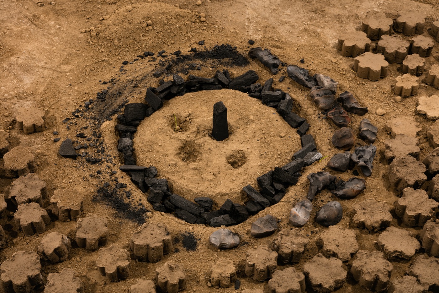 An Artist’s Plots of Earth Decay to Dust