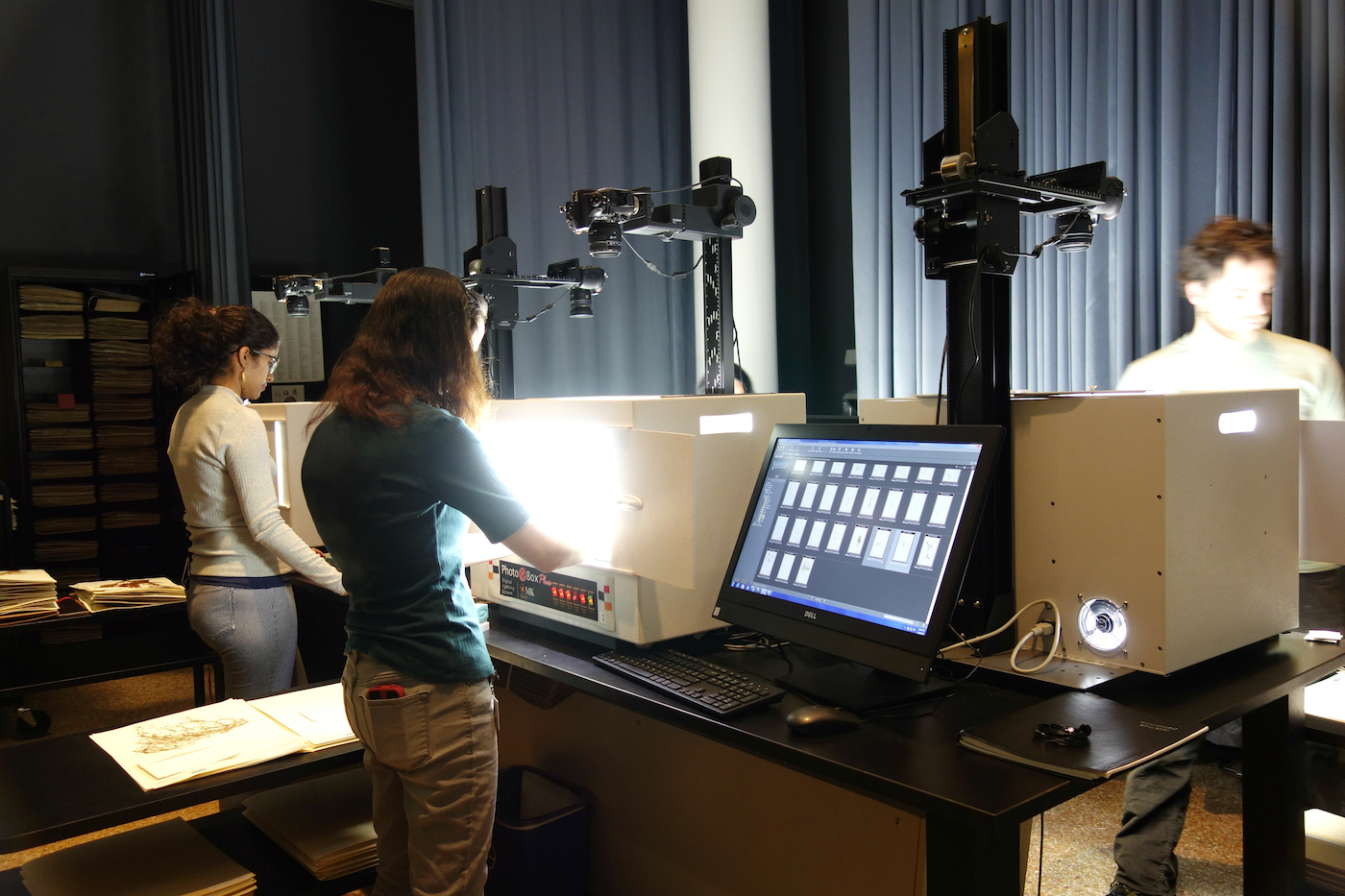 Why a Herbarium of 7.8 Million Plants Is One of New York's Most ...