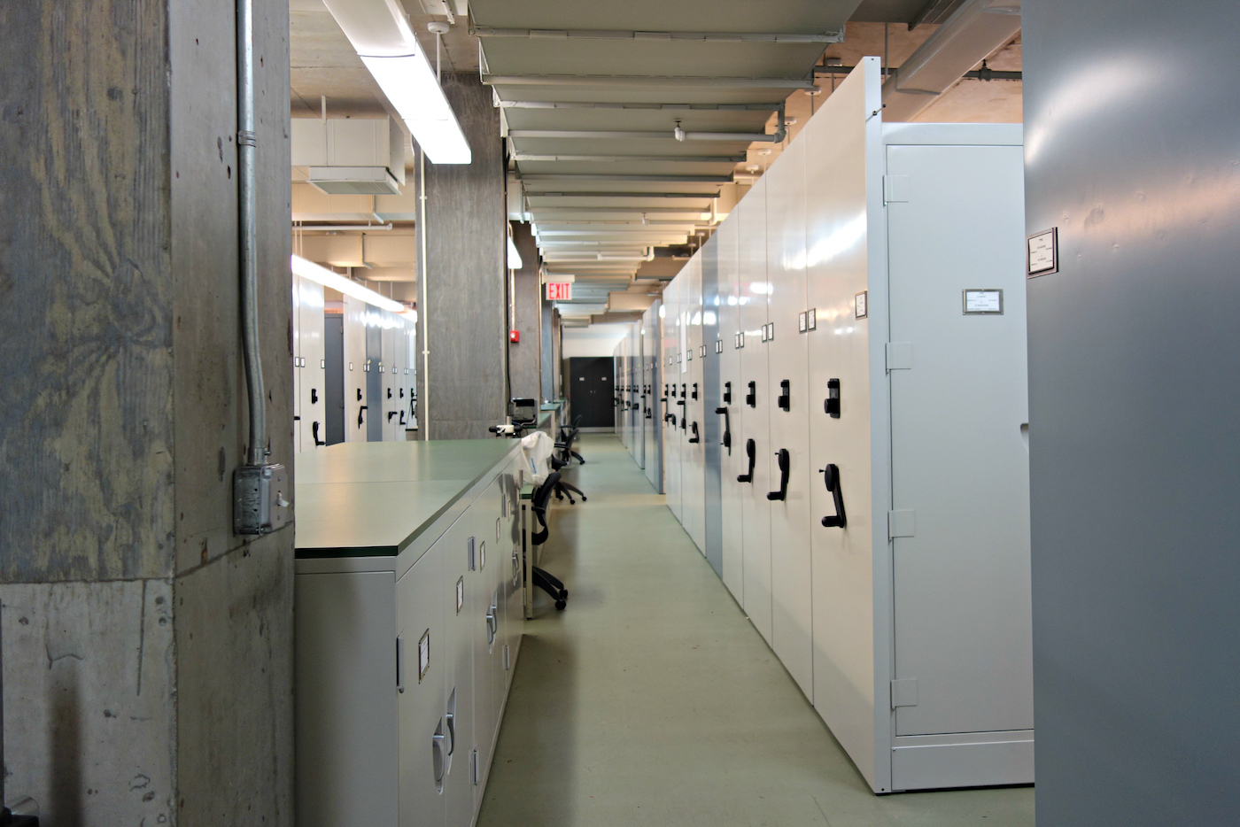 Why a Herbarium of 7.8 Million Plants Is One of New York's Most ...