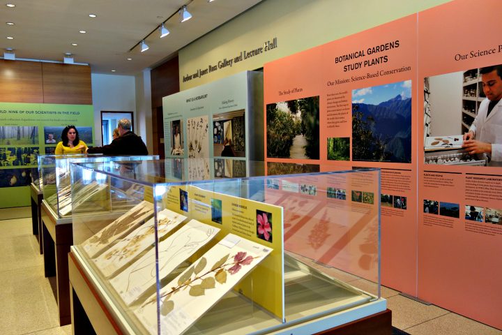 Why a Herbarium of 7.8 Million Plants Is One of New York's Most ...