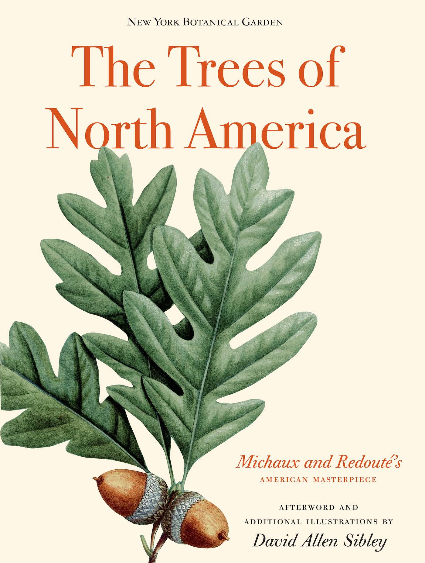 Rediscover a 19th-Century Compendium of North American Trees
