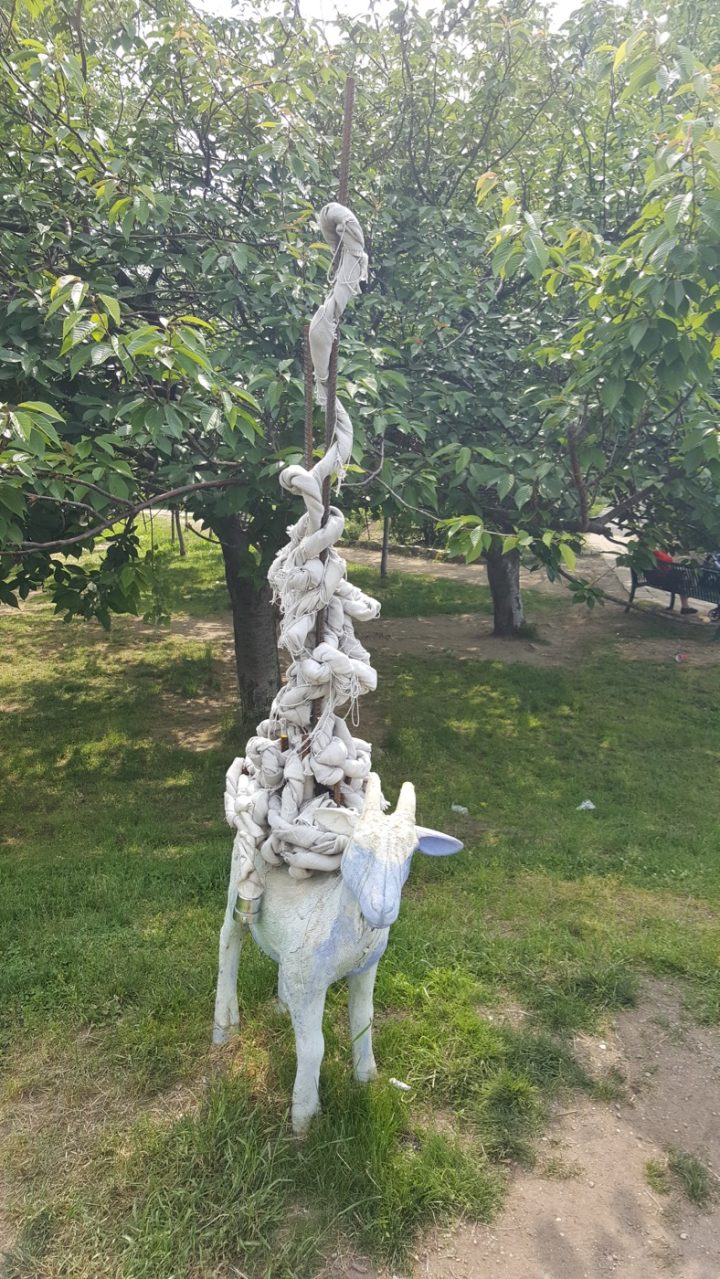 Nari Ward Gets the G.O.A.T.