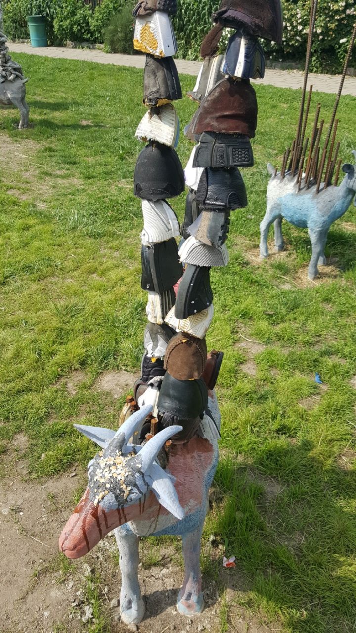 Nari Ward Gets the G.O.A.T.