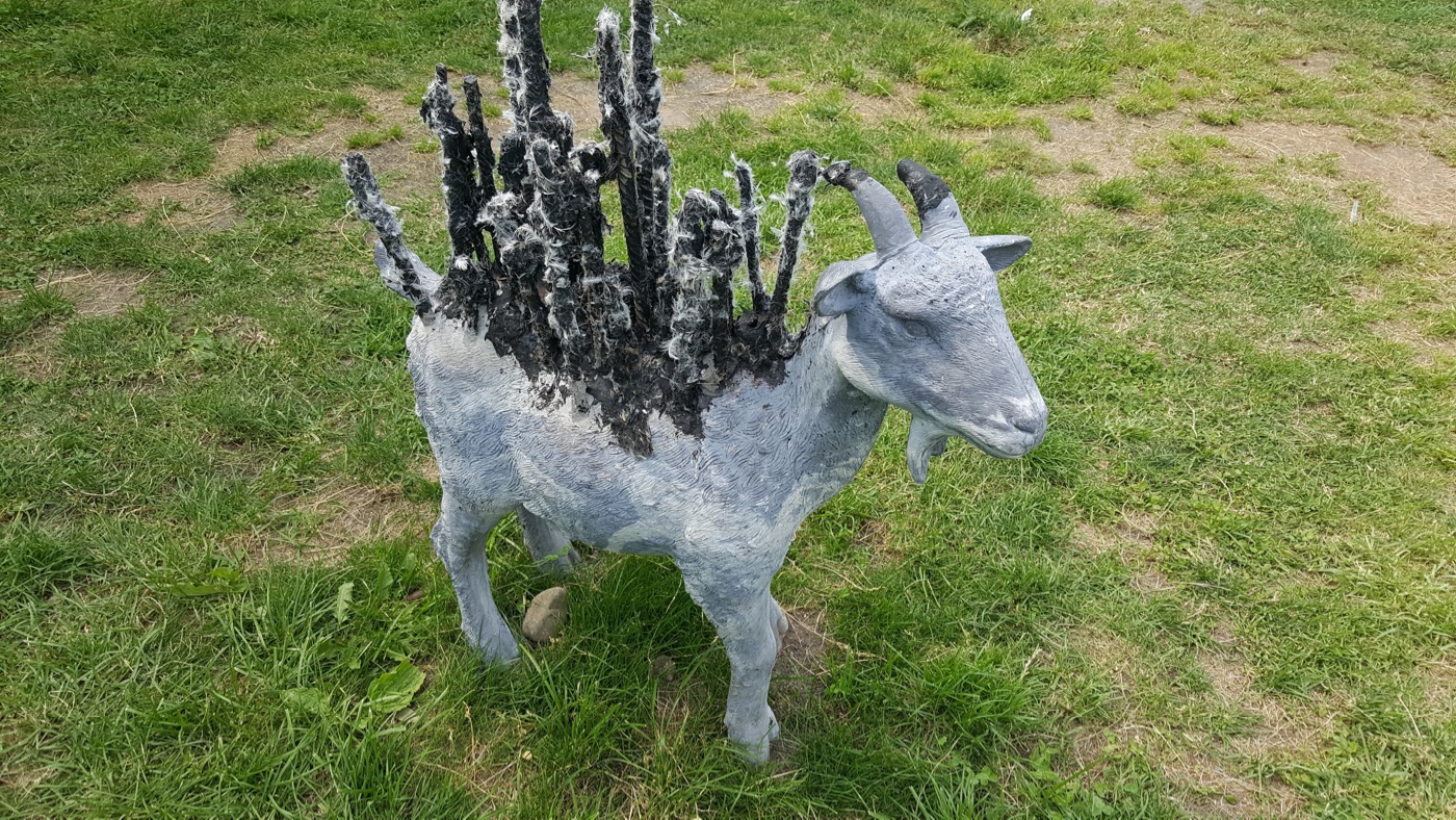 Nari Ward Gets the G.O.A.T.