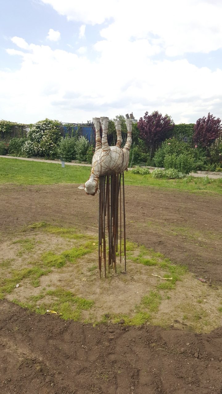 Nari Ward Gets the G.O.A.T.