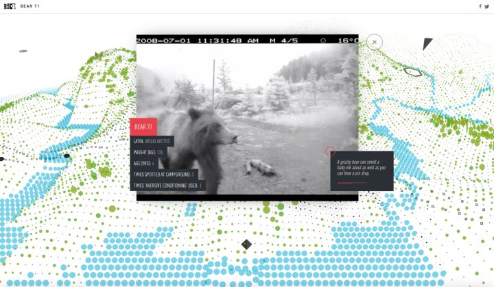 A VR Documentary on Animal Surveillance Tracks a Grizzly’s Life