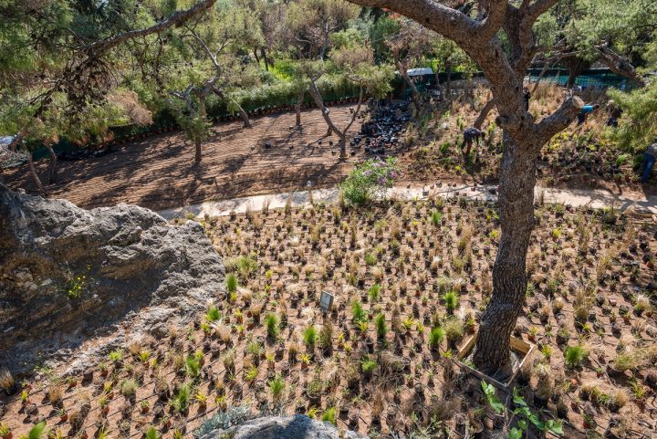 Adrián Villar Rojas Excavates Greece’s National Identity