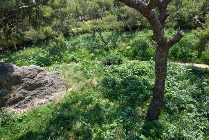 Adrián Villar Rojas Excavates Greece’s National Identity