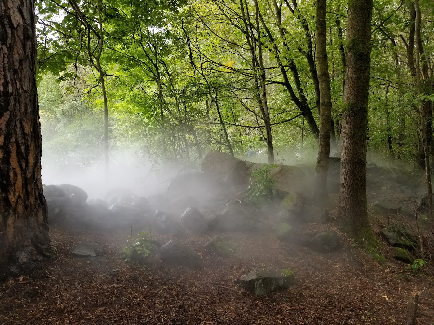 Following the Mists and Mysteries of Fog Art