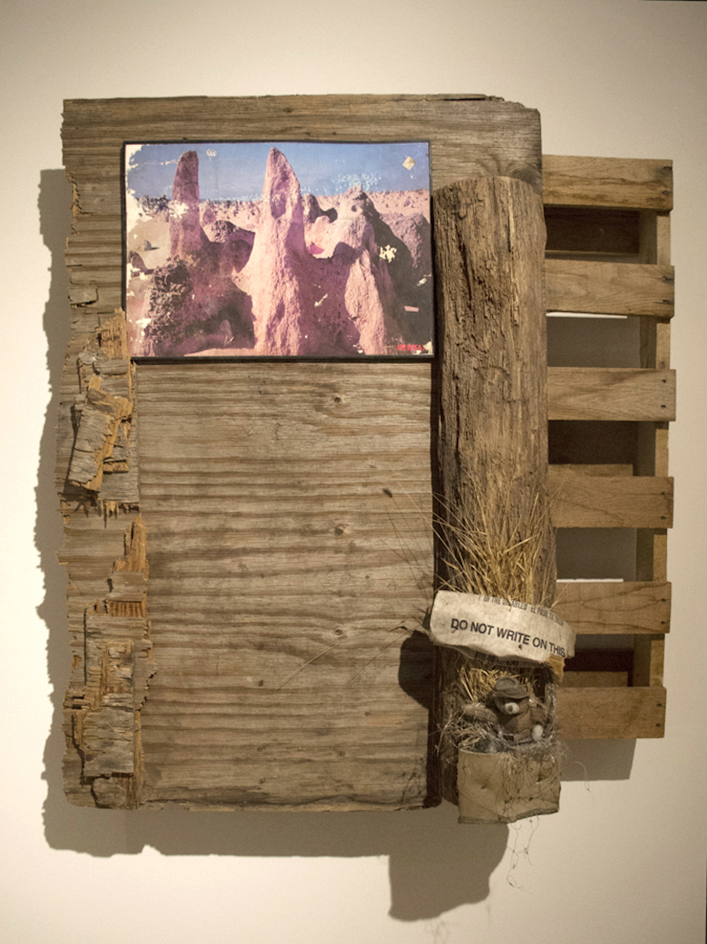 Found Object Sculptures that Spell Out an Urgent Environmental Message