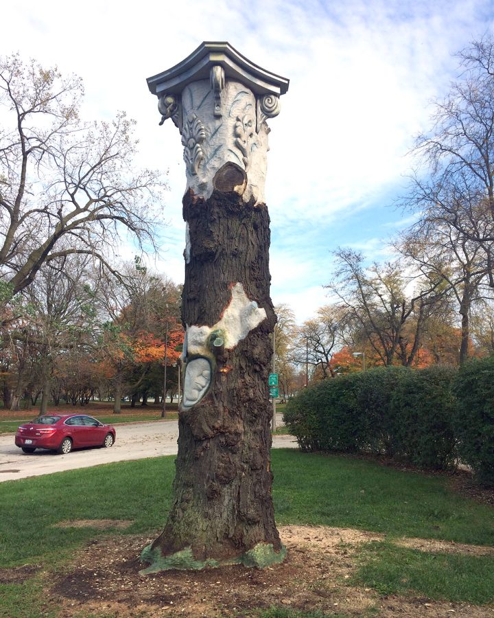 Chicago’s Plan for Sick Trees: Turn Them into Art