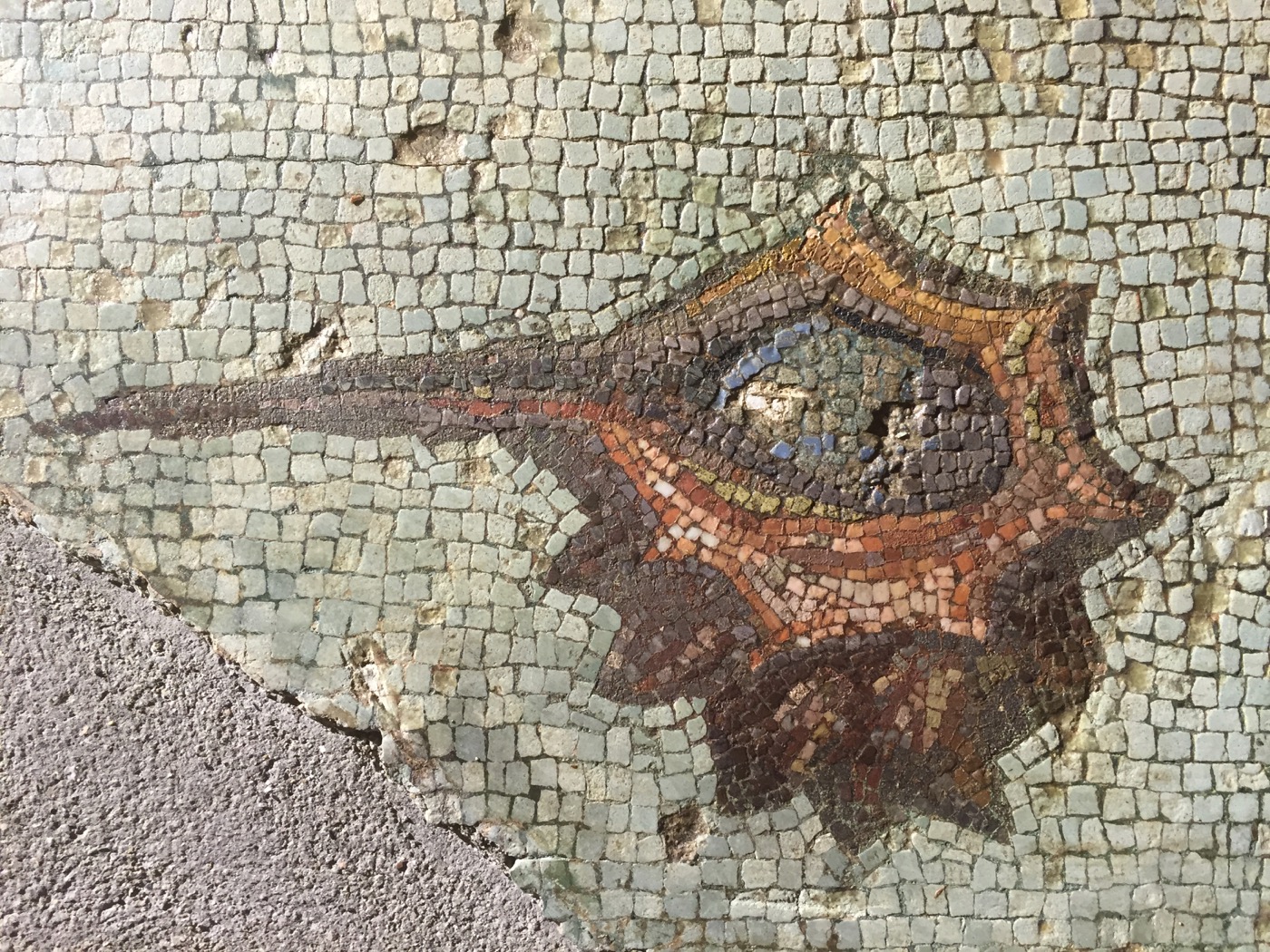 The Hidden Labor Behind the Luxurious Colors of Purple and Indigo