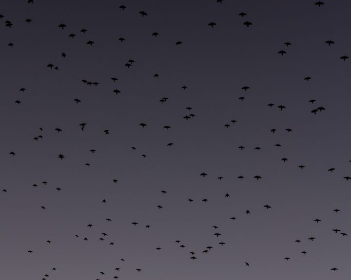 A Photographic Conversation About Family, Absence, and What Ifs